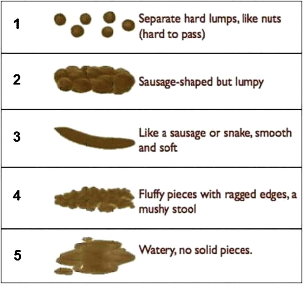 How To Best Manage Constipation In Children - Tricia Lee