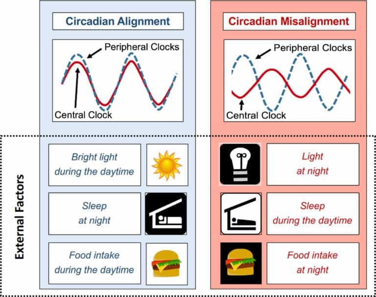 Intermittent Fasting : Is It Worth the Hype? - BC Dietitians