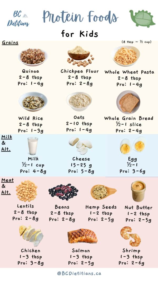 The Truth About Protein Intake For Children | BC Dietitians