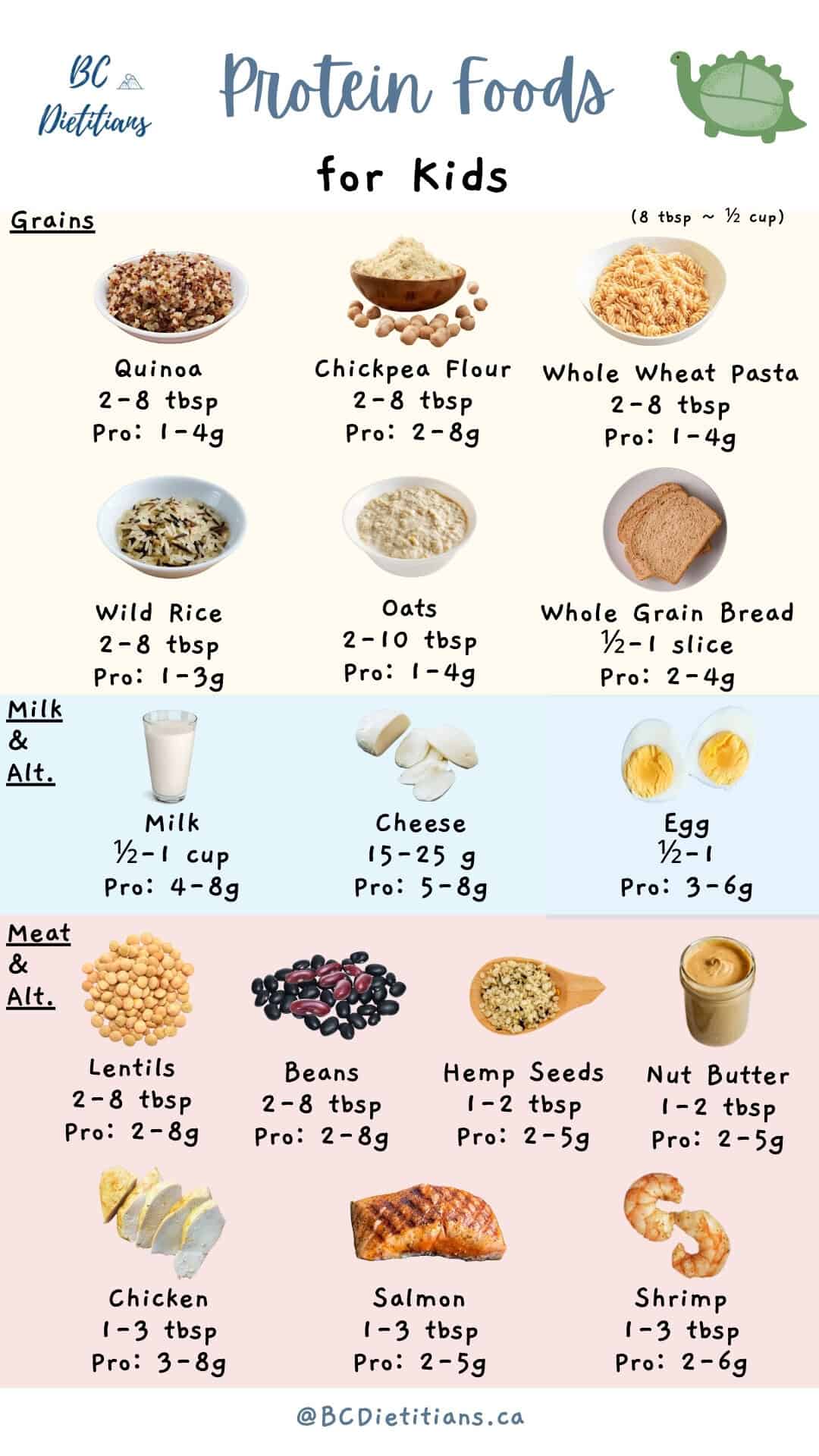 The Truth About Protein Intake For Children - BC Dietitians